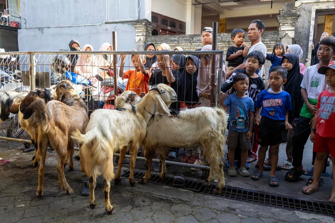 Tekanan ekonomi ubah corak pembelian haiwan korban di Indonesia, Berita ...