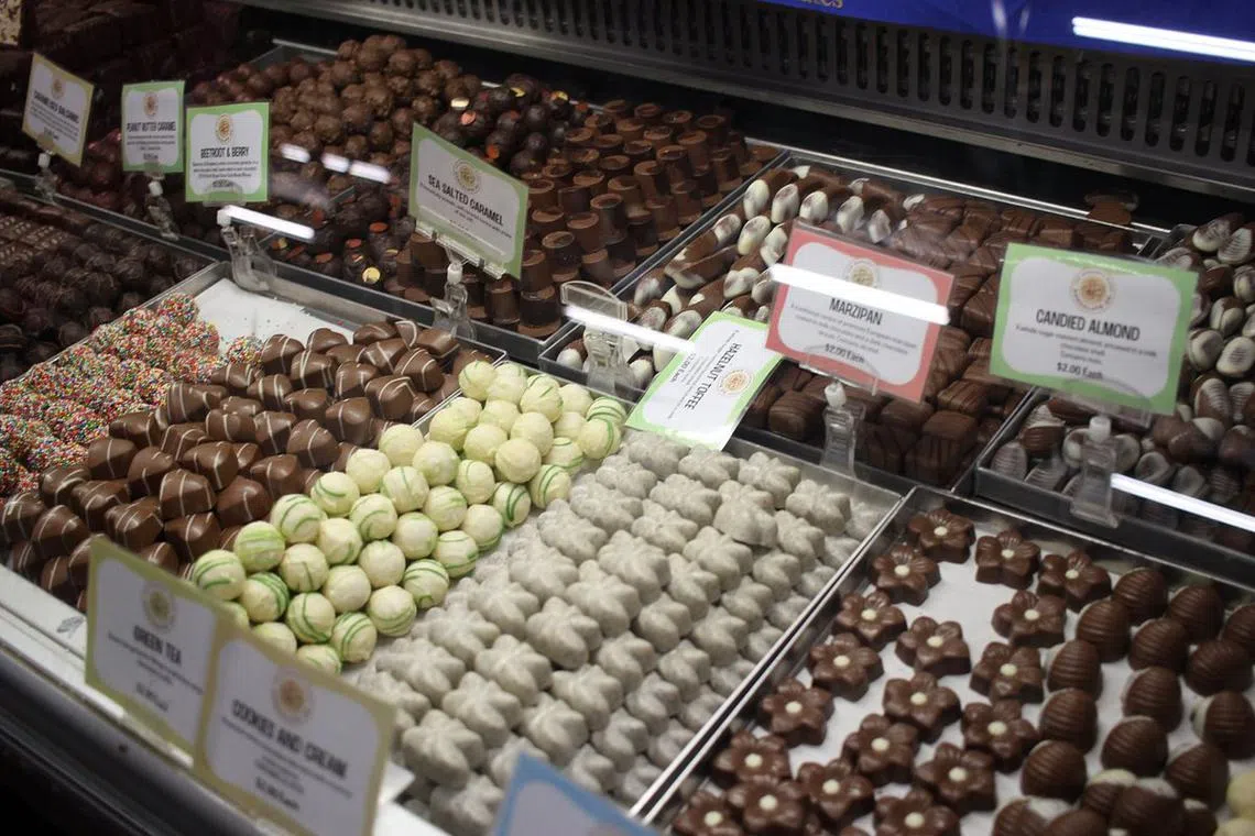 Syurga ‘kaki coklat’ di Australia, Berita Gaya Hidup - Beritaharian.sg