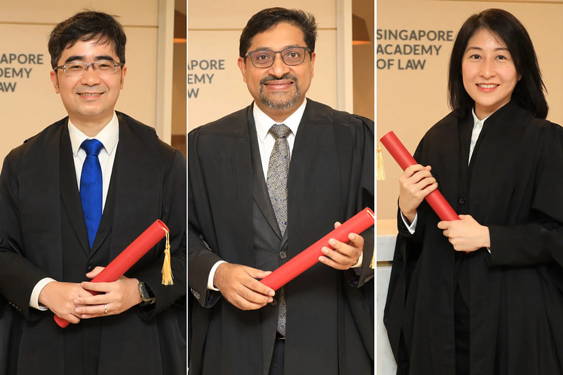New Senior Counsel appointed from public, private and academic sectors ...