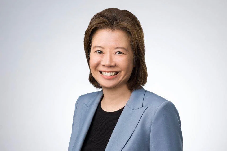 Mapletree eyes mid-2026 first close for US$1.8 billion emerging Asia ...