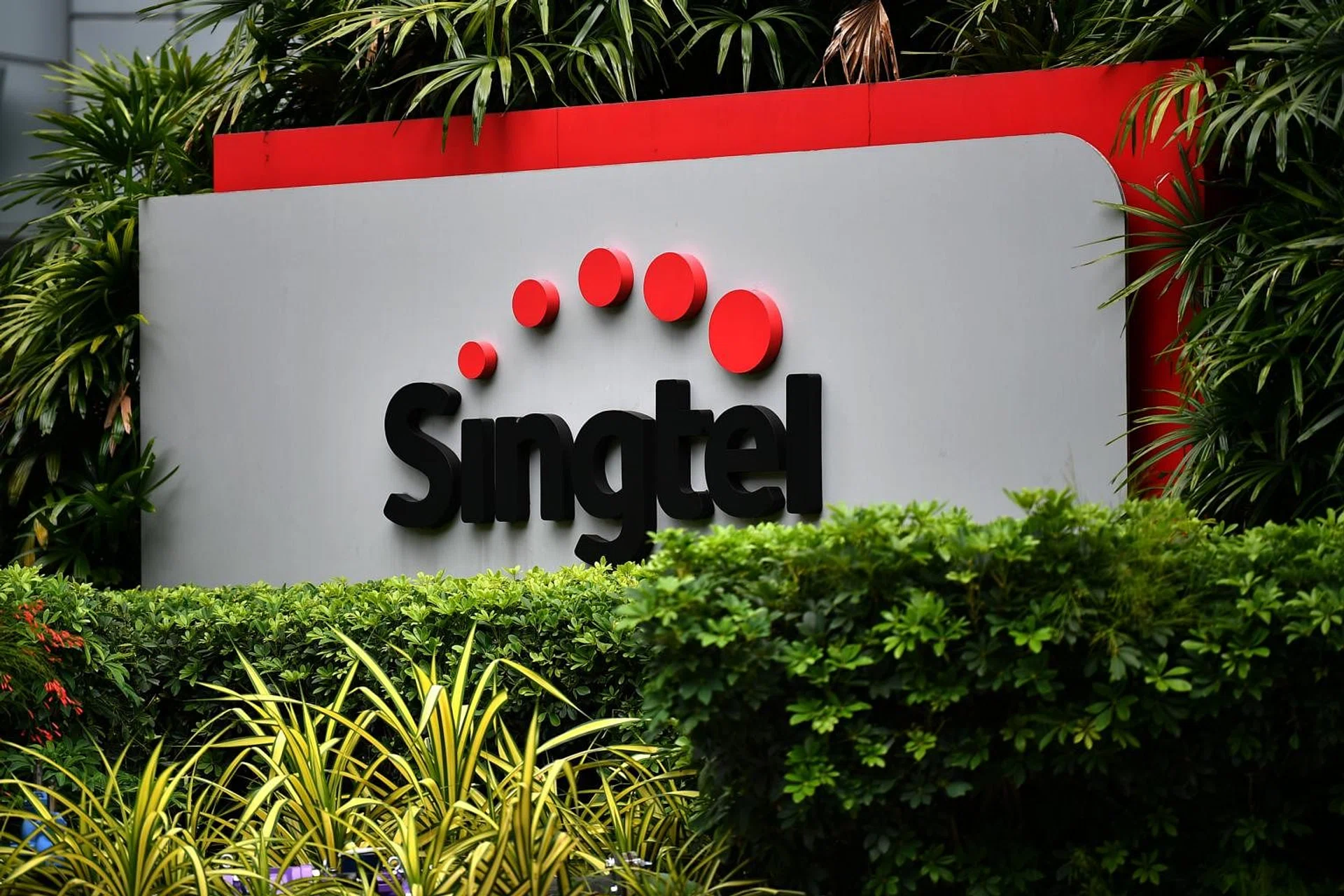 Singtel hits 12-year low amid heavy trading - The Business Times