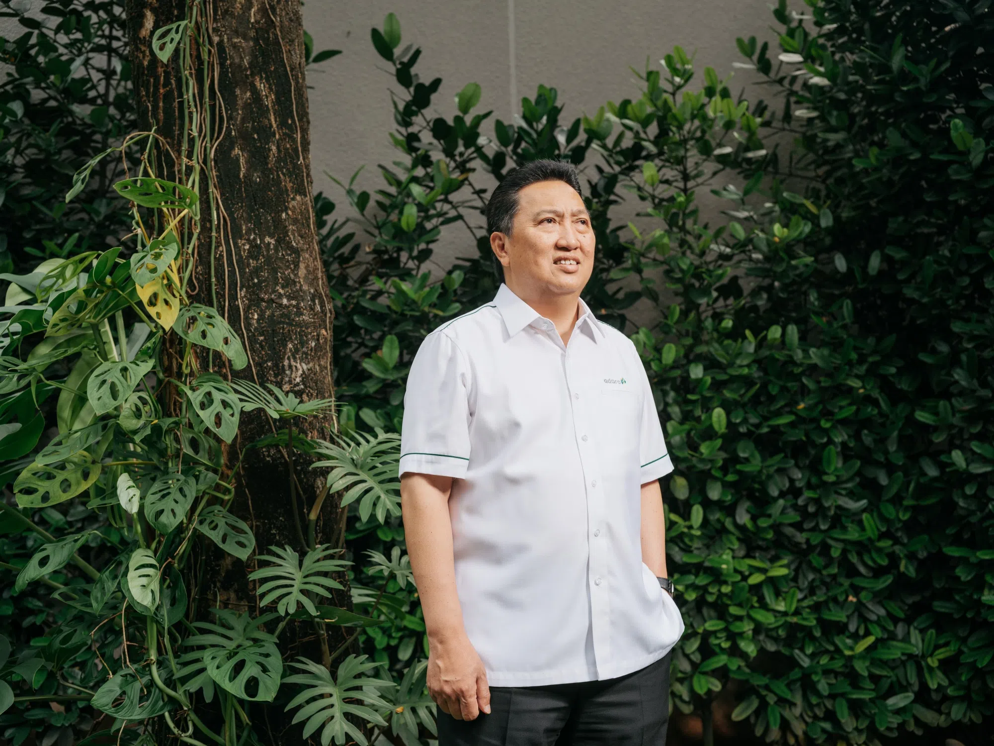 Indonesian coal giant Adaro Energy in big push to become greener - The ...