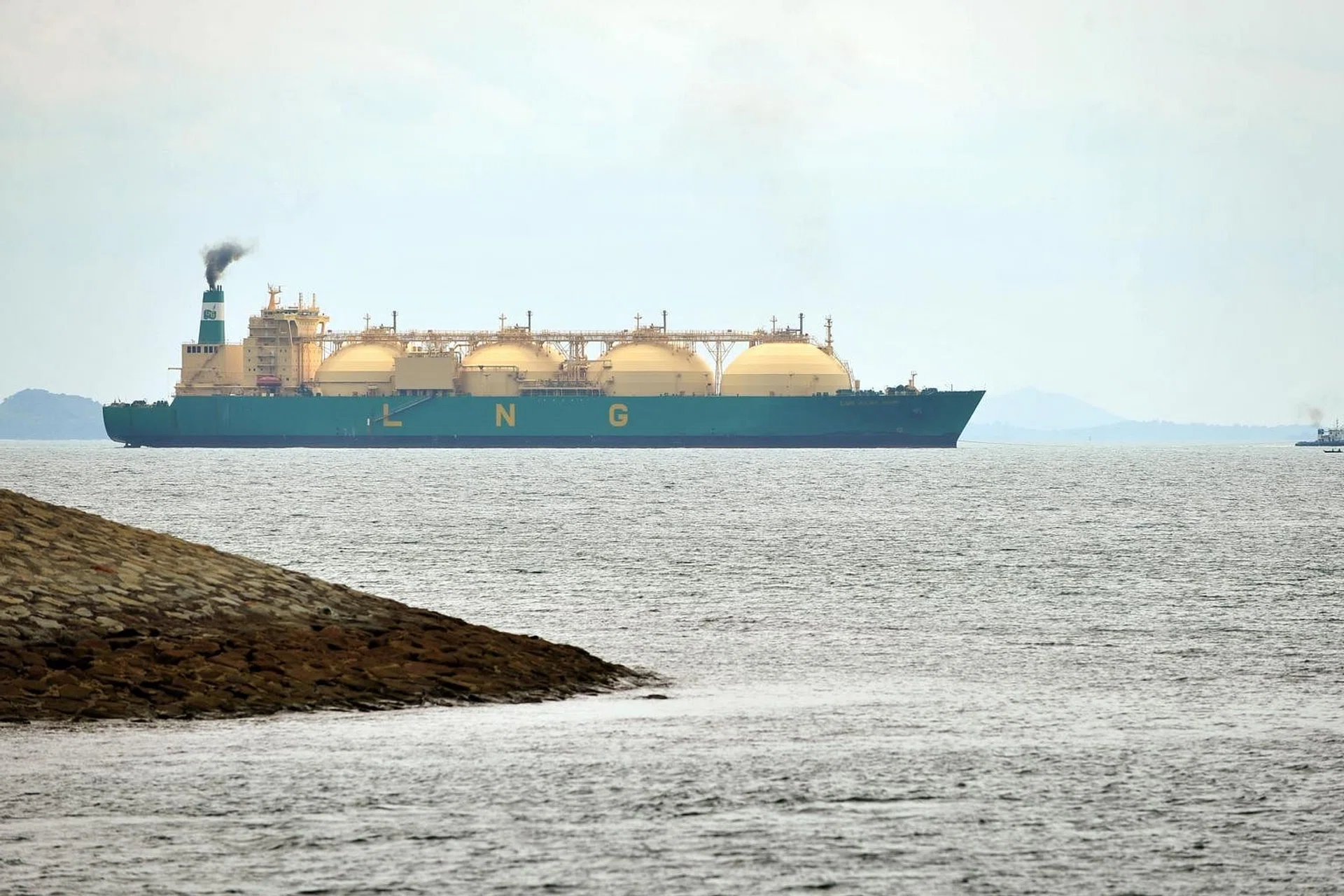 LNG-fuelled tankers to more than double by 2030: Petronas exec - The ...