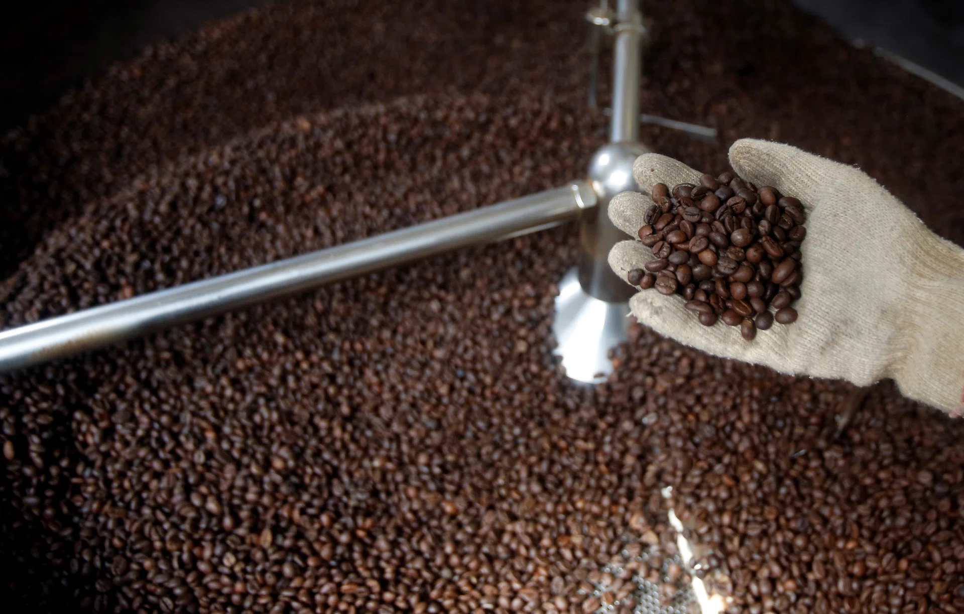 Robusta coffee prices surge to record high as supplies tighten - The ...
