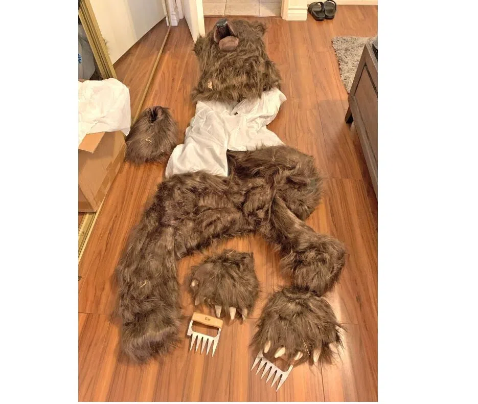 Insurance fraudsters dressed as bears to wreck cars: US agency - The ...