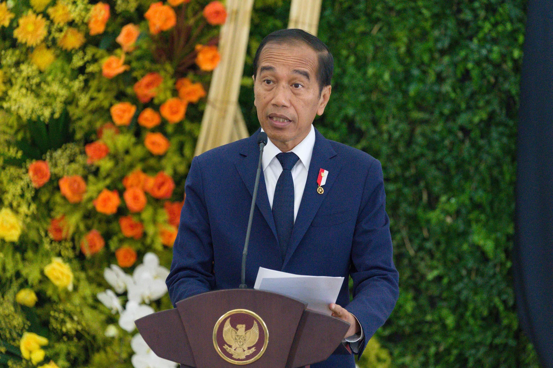 Indonesia launches China-built anode plant for EV batteries - The ...