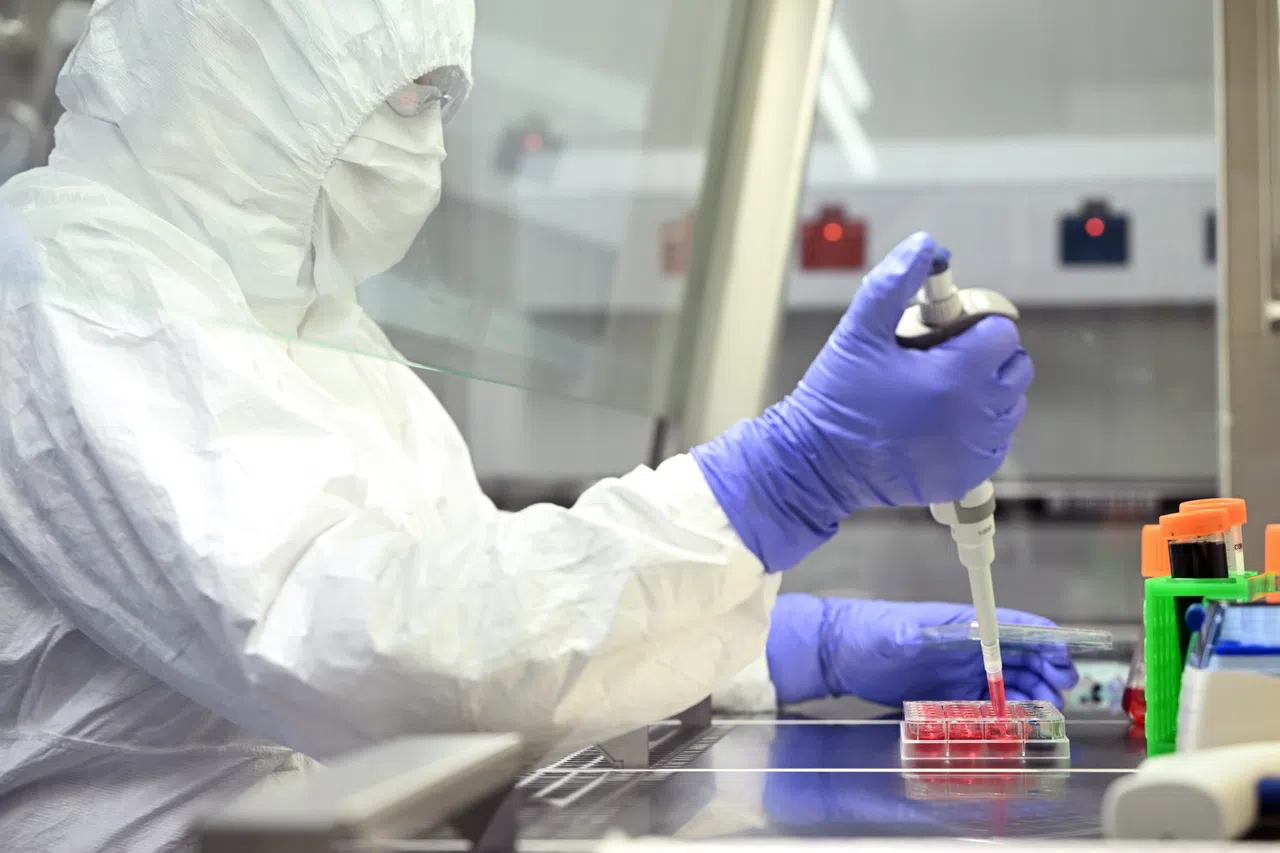 A plea for making virus research safer - The Business Times