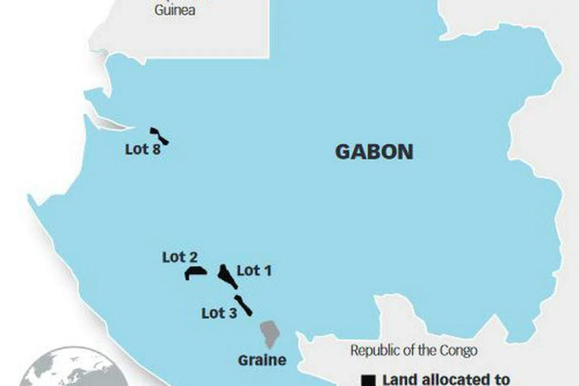 Olam clashes with green group over Gabon deforestation - The Business Times