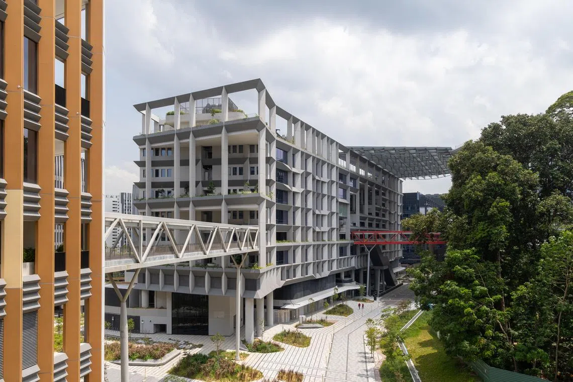 JTC launches Singapore’s first district-level smart grid in Punggol - The Business Times