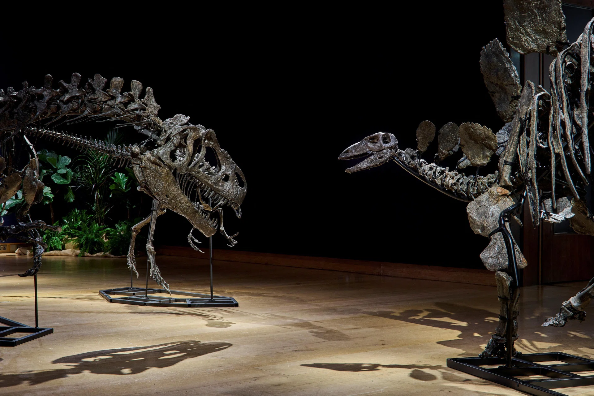 Britain seizes dinosaur bones from Singapore-based businessman Su ...