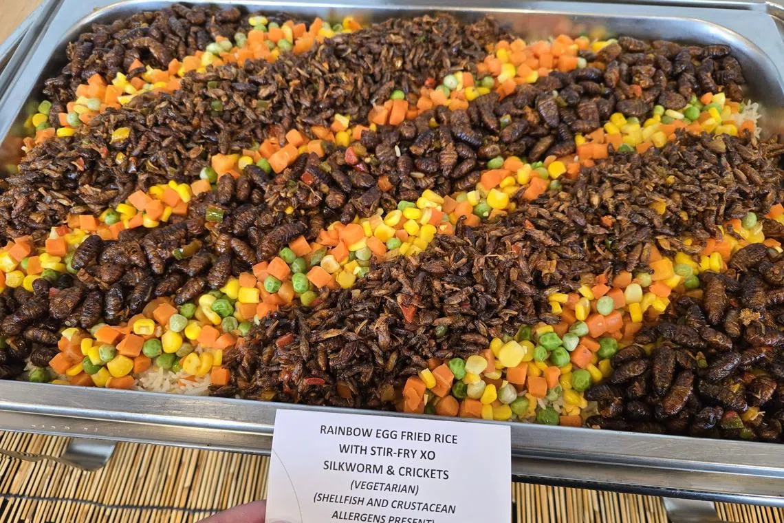 Crunch some crickets: Insects on the menu at some bars and restaurants ...