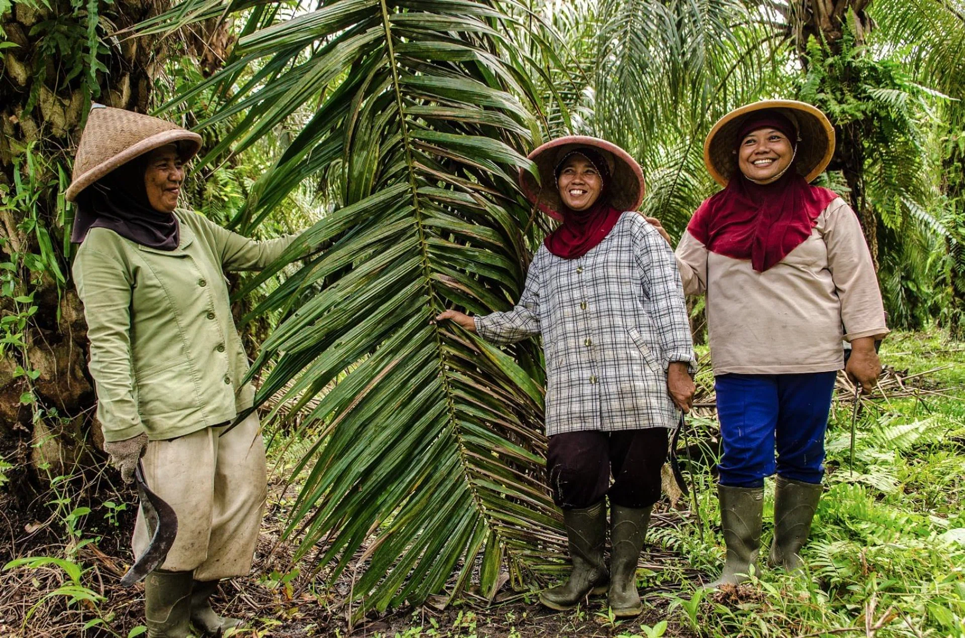 Indonesia launches investor map on sustainable development goals - The ...