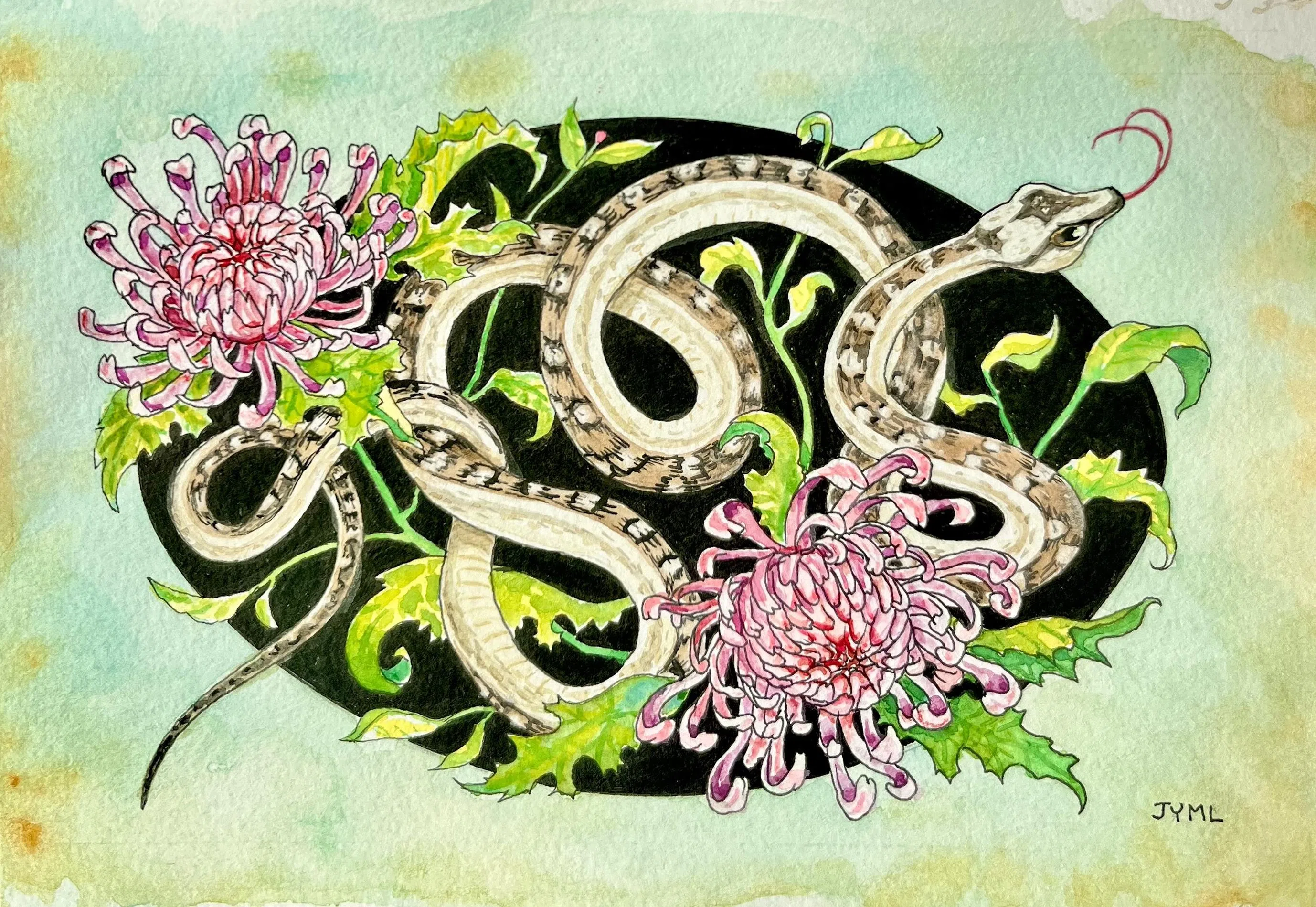 Snakes of Singapore: calm, peaceful and surprisingly charismatic - The ...