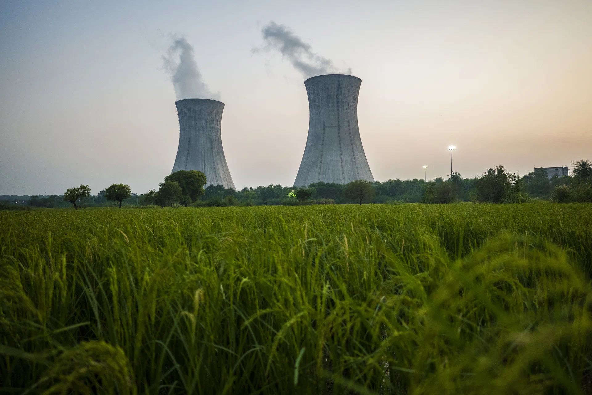 India’s new ESG rules to address corporate greenwashing - The Business ...