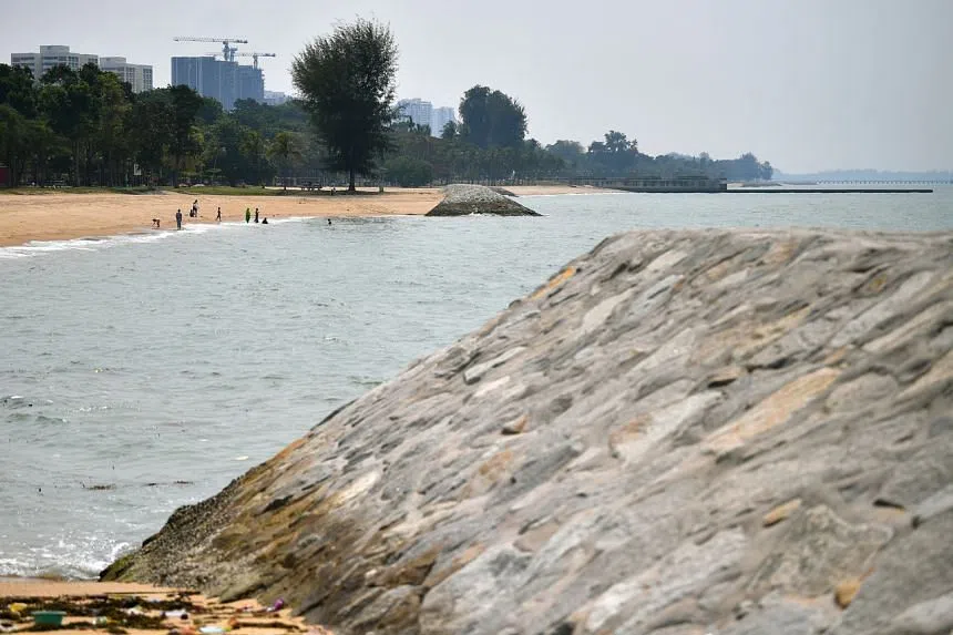 Coastal-protection measures to be carried out in phases - The Business ...