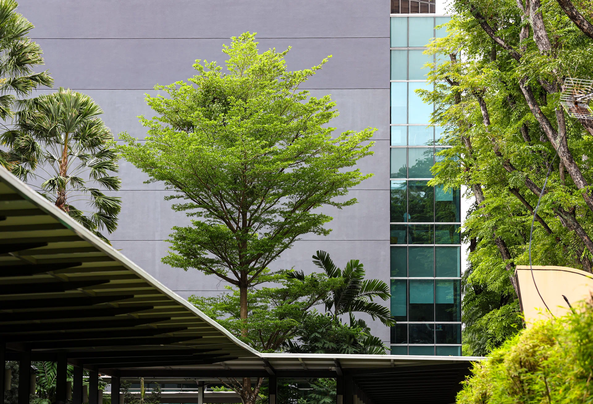 Enterprise Singapore and EDB to launch sustainability reporting grant ...