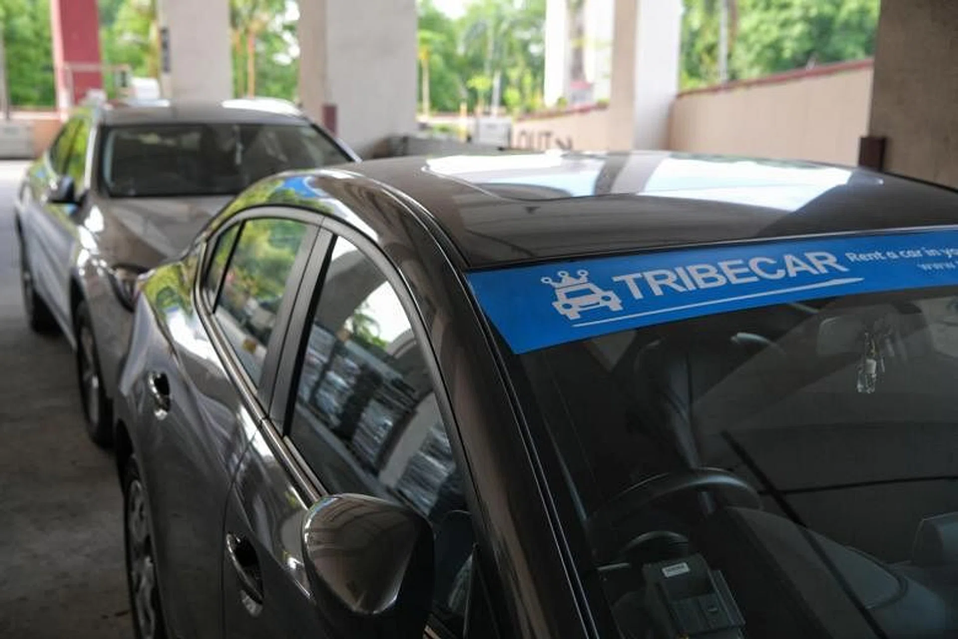 Tribecar buys Singapore's oldest car-sharing firm - The Business Times
