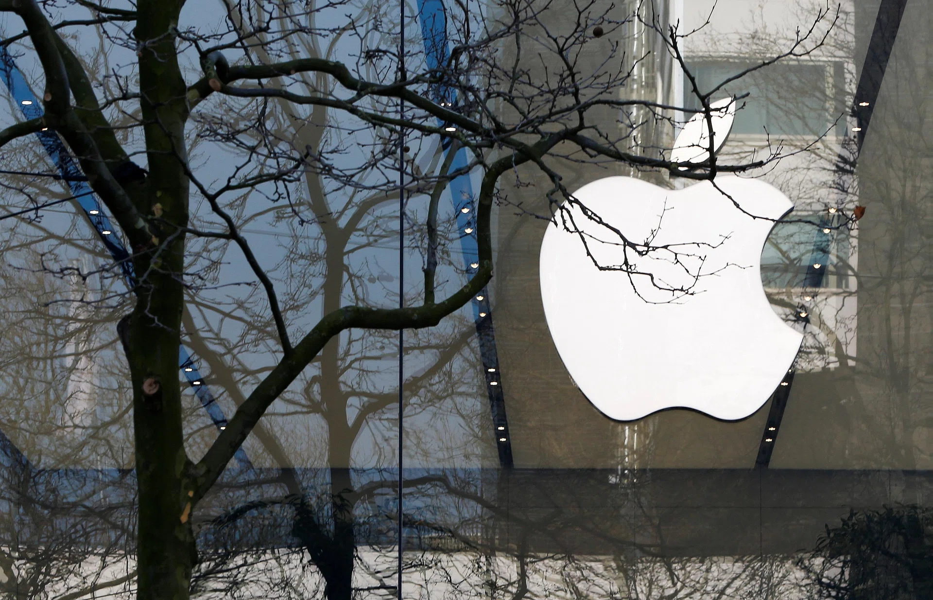 Apple defence bolstered by Google monopoly ruling in US case - The ...