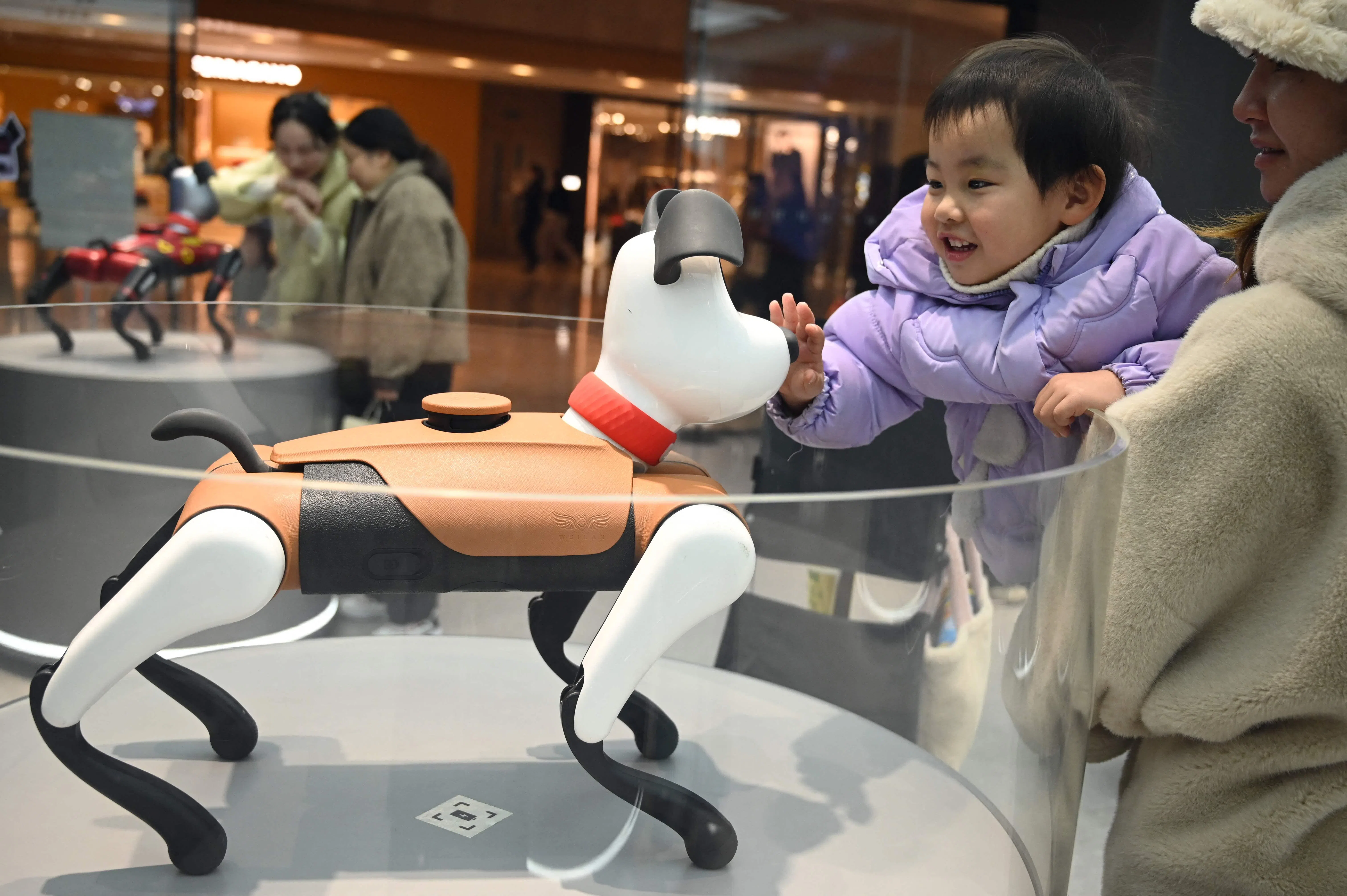 Young Chinese turn to AI pets for emotional relief - The Business Times