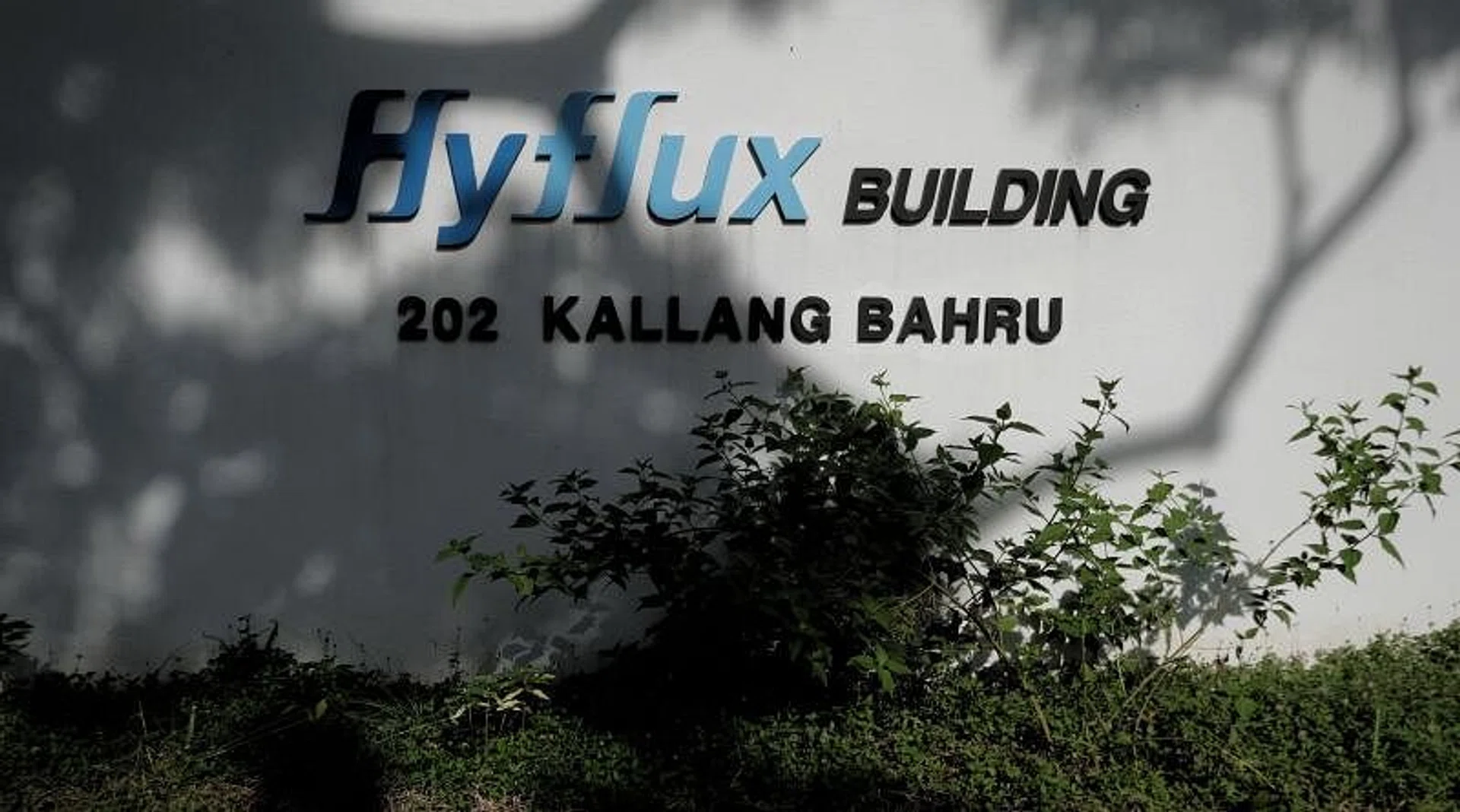 Court grants winding-up order for Hyflux - The Business Times