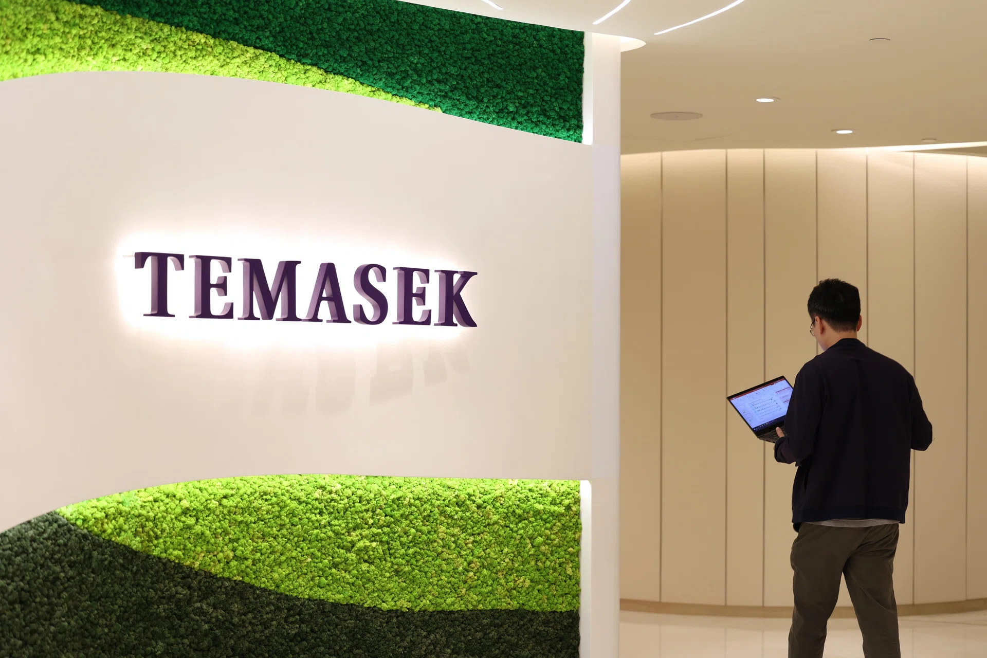 Temasek’s sustainability-aligned investments valued at S$46 billion in ...