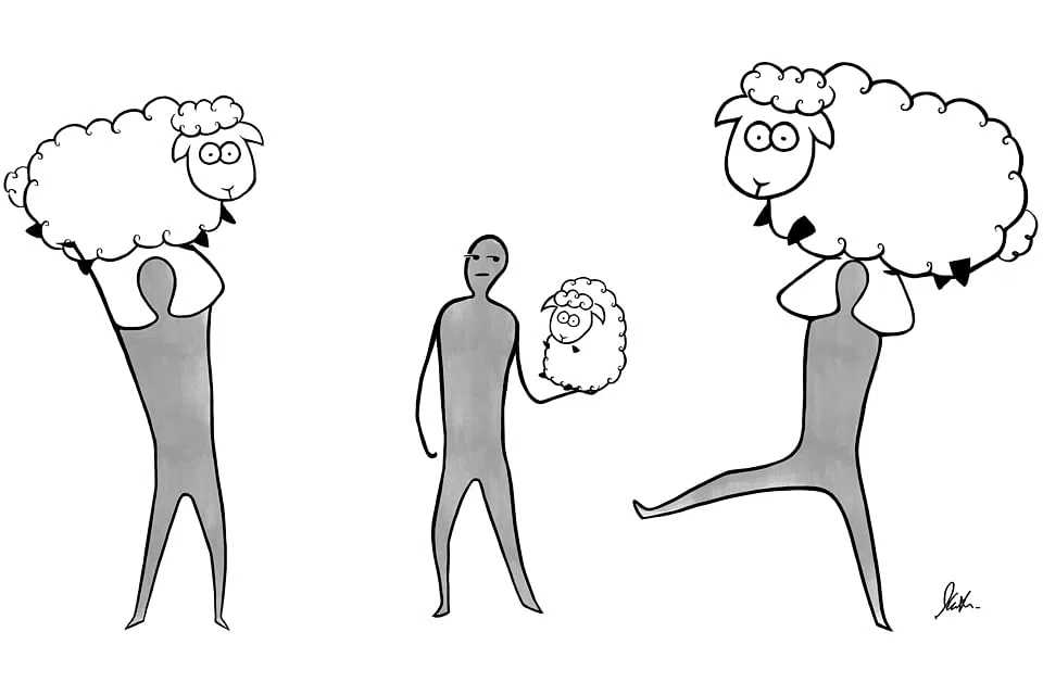 Did you just throw a sheep at me?