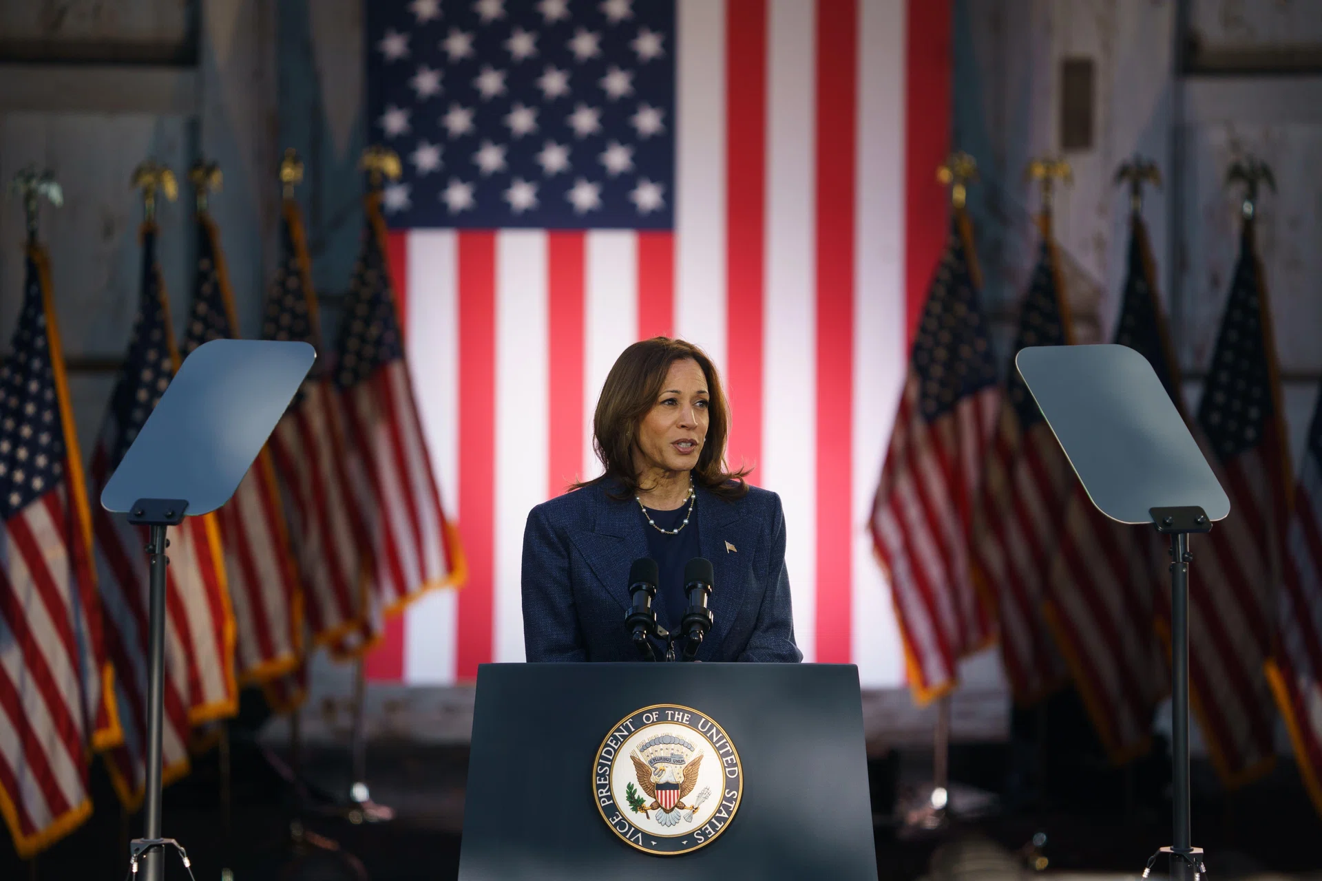 Fiery Harris uses testy Fox interview to claim break from Biden - The ...