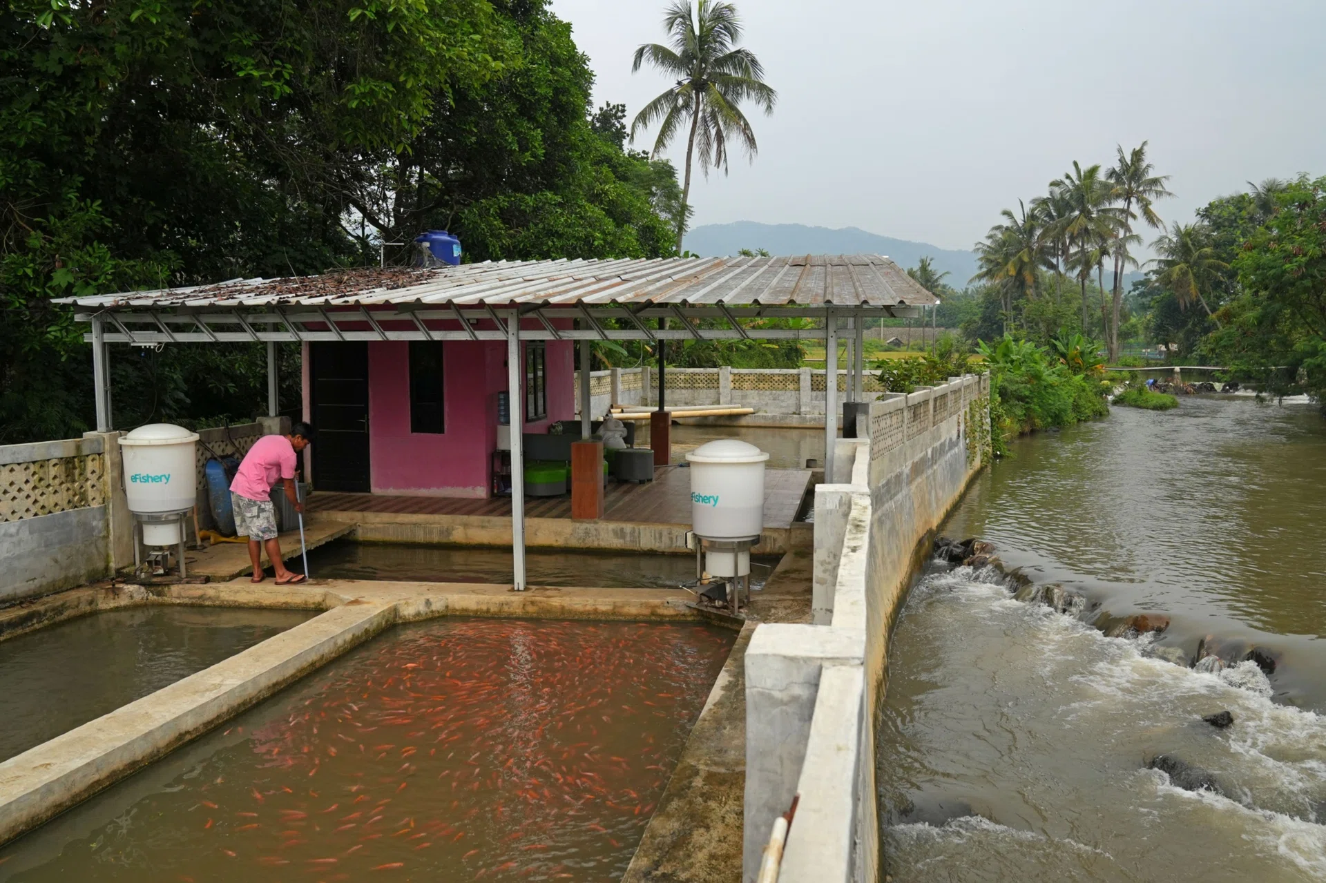 Temasek-backed eFishery raises US$108 million Series D round, becomes ...