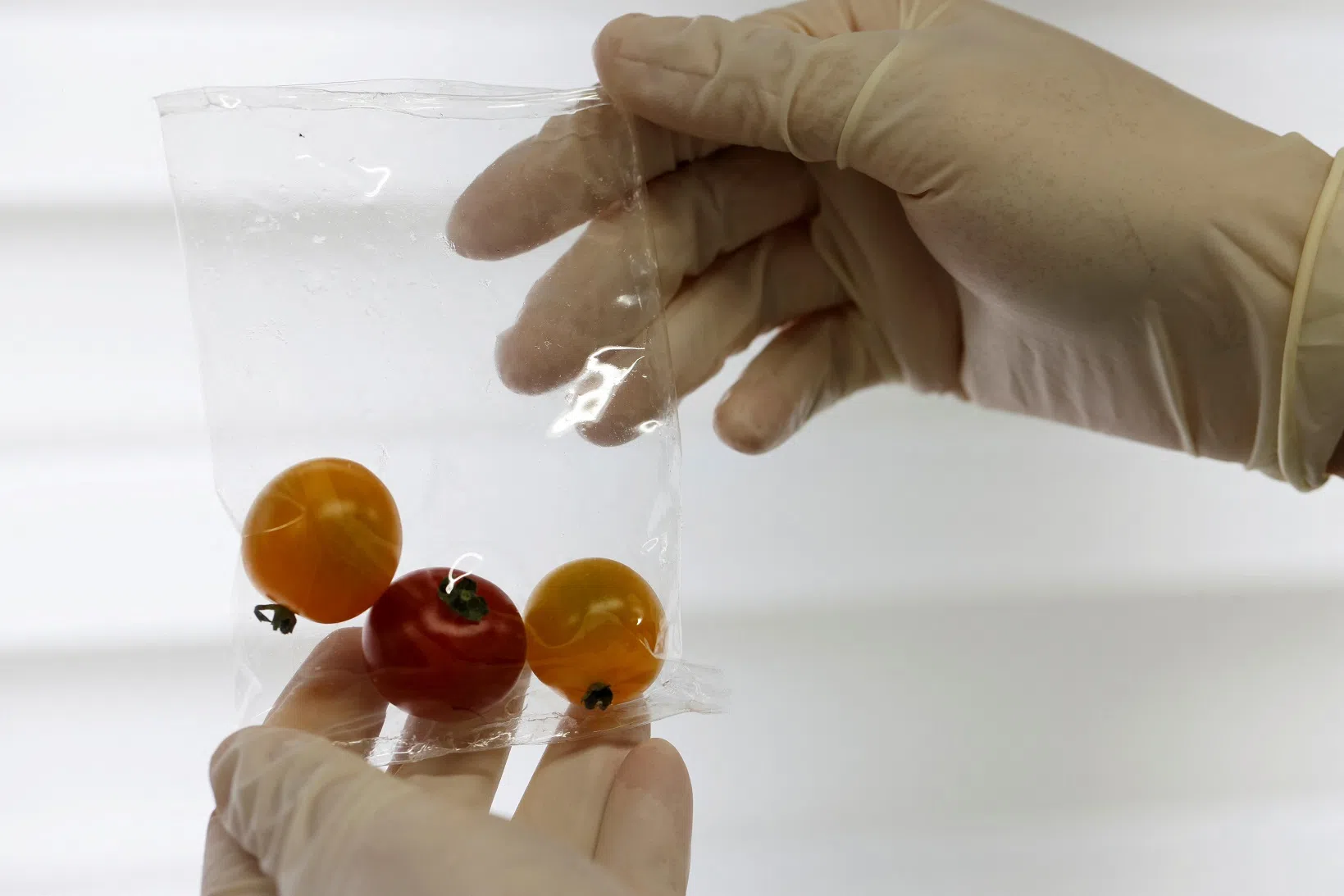 Scientists in Japan develop plastic that dissolves in seawater within ...