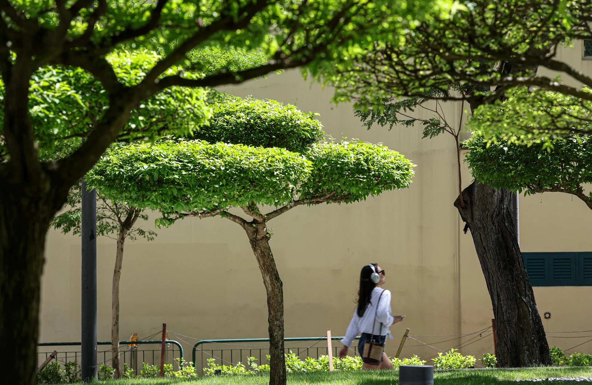 Green insurance: A commitment to sustainability - The Business Times