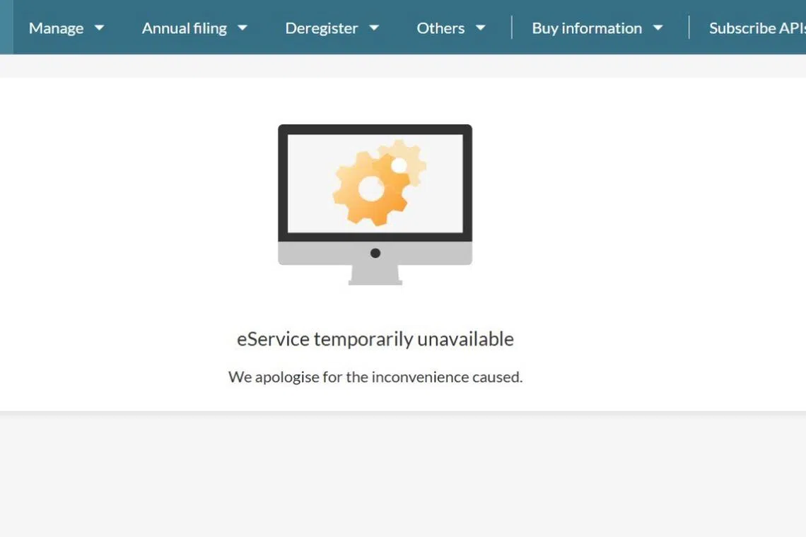 Some businesses unable to access e-services, process transactions on ...