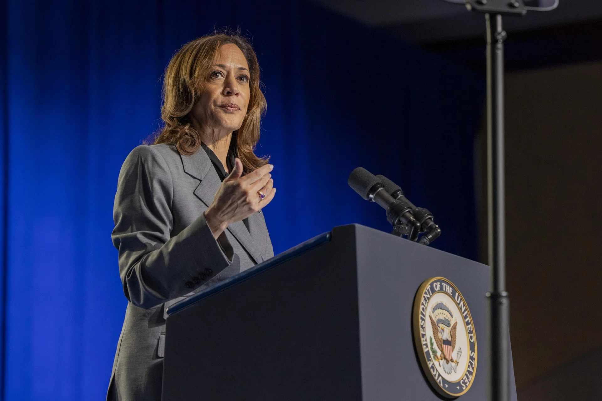Harris vows to grow AI, crypto industries in pitch to NYC donors - The ...