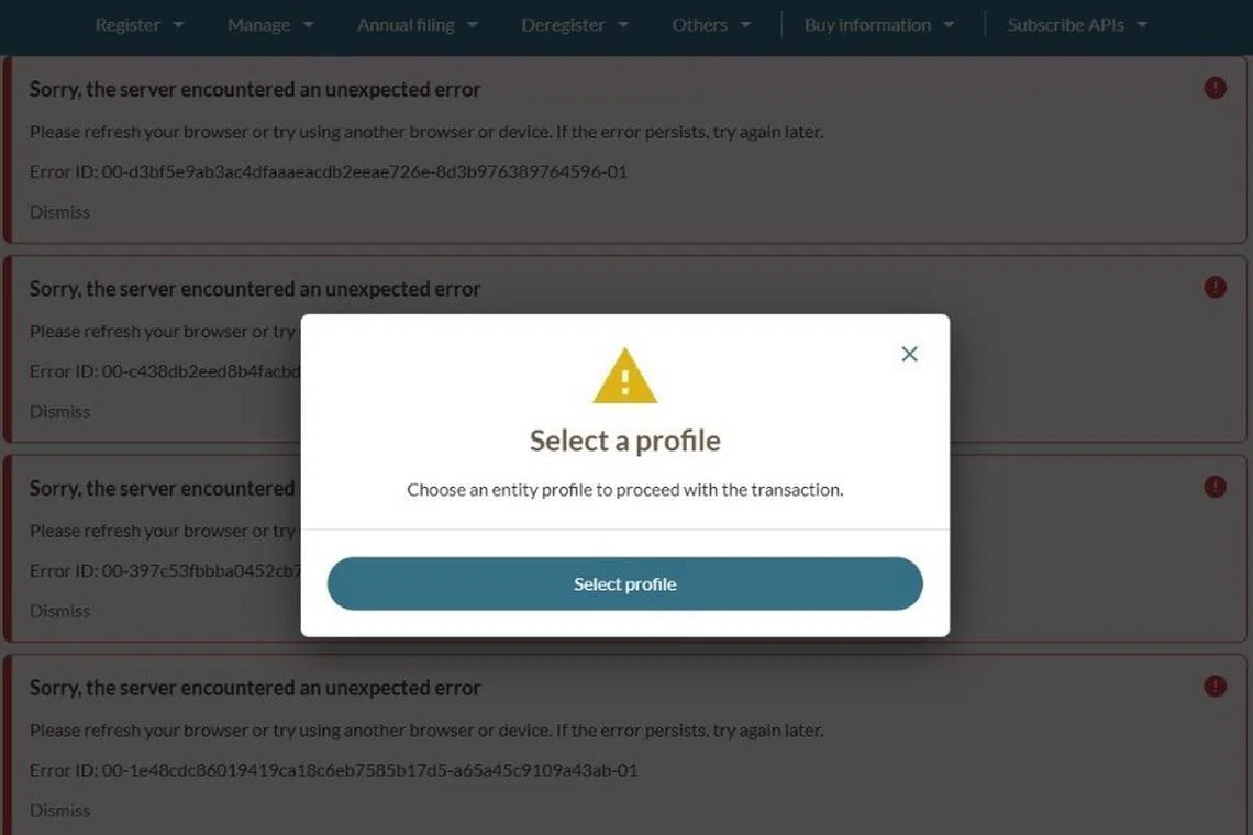 Some businesses unable to access e-services, process transactions on ...