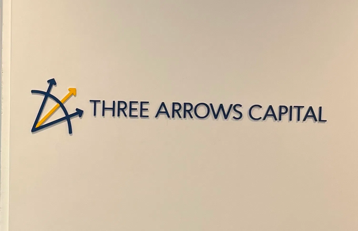 Wife of Three Arrows founder loses court appeal to unfreeze assets, including GCB - The Business ...