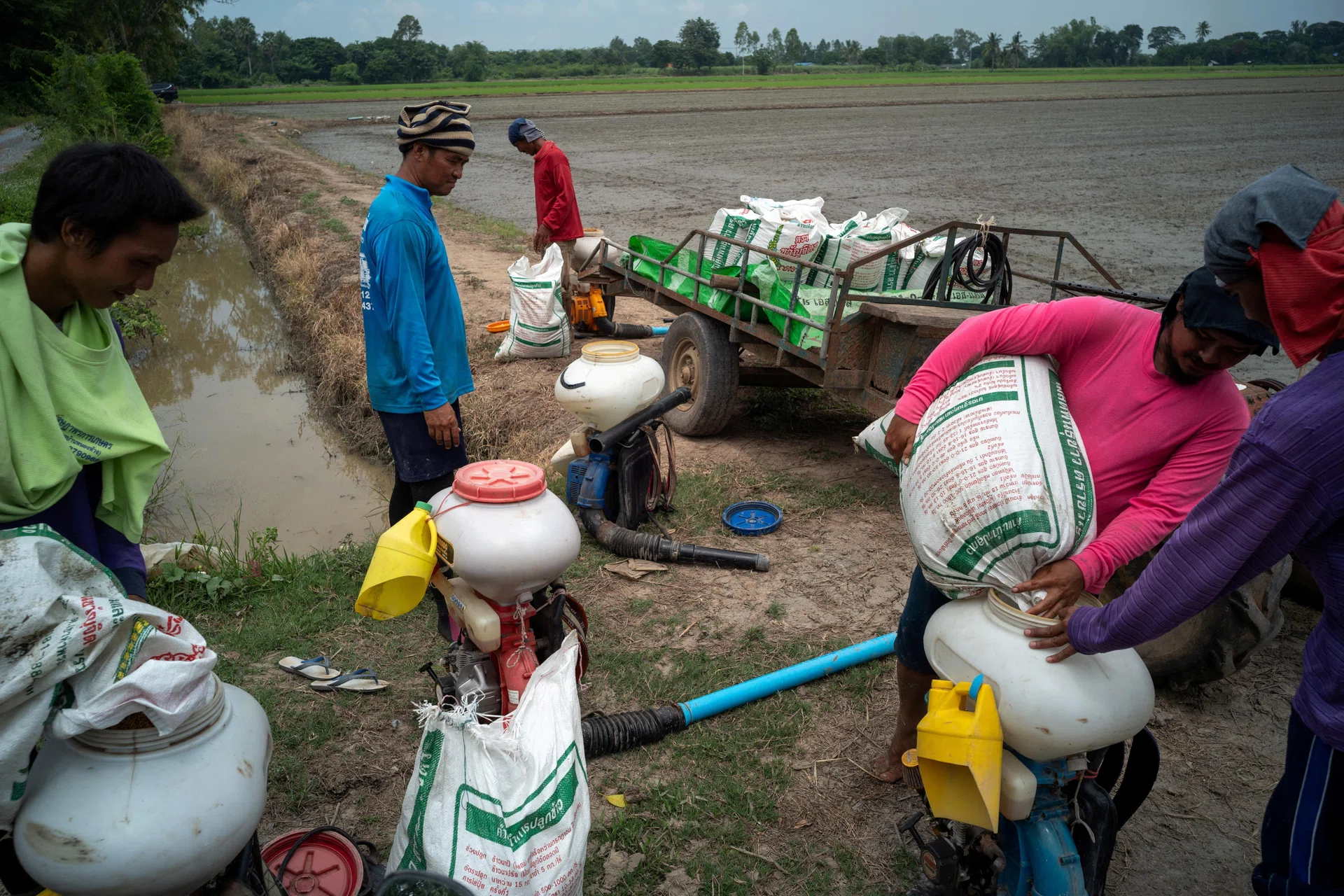 Thai farm debt crisis deepens in early test for Anutin's government ...