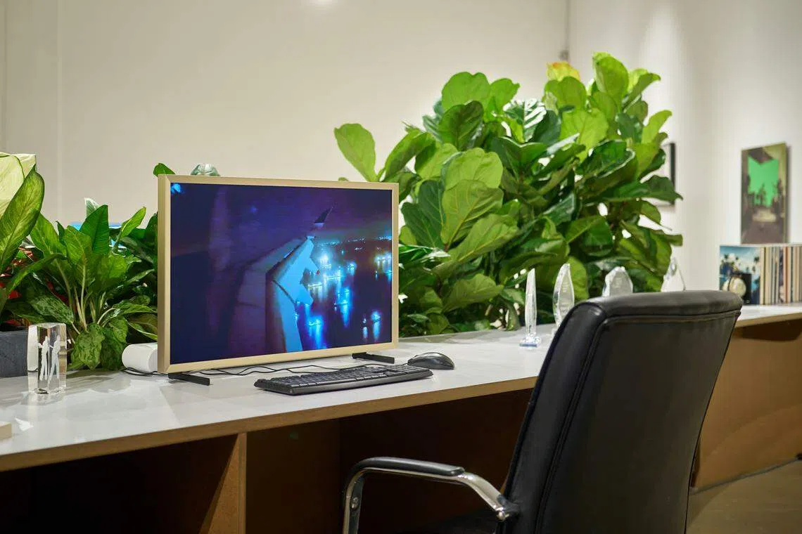 Ho Rui An: Debut art show disrupts and delights