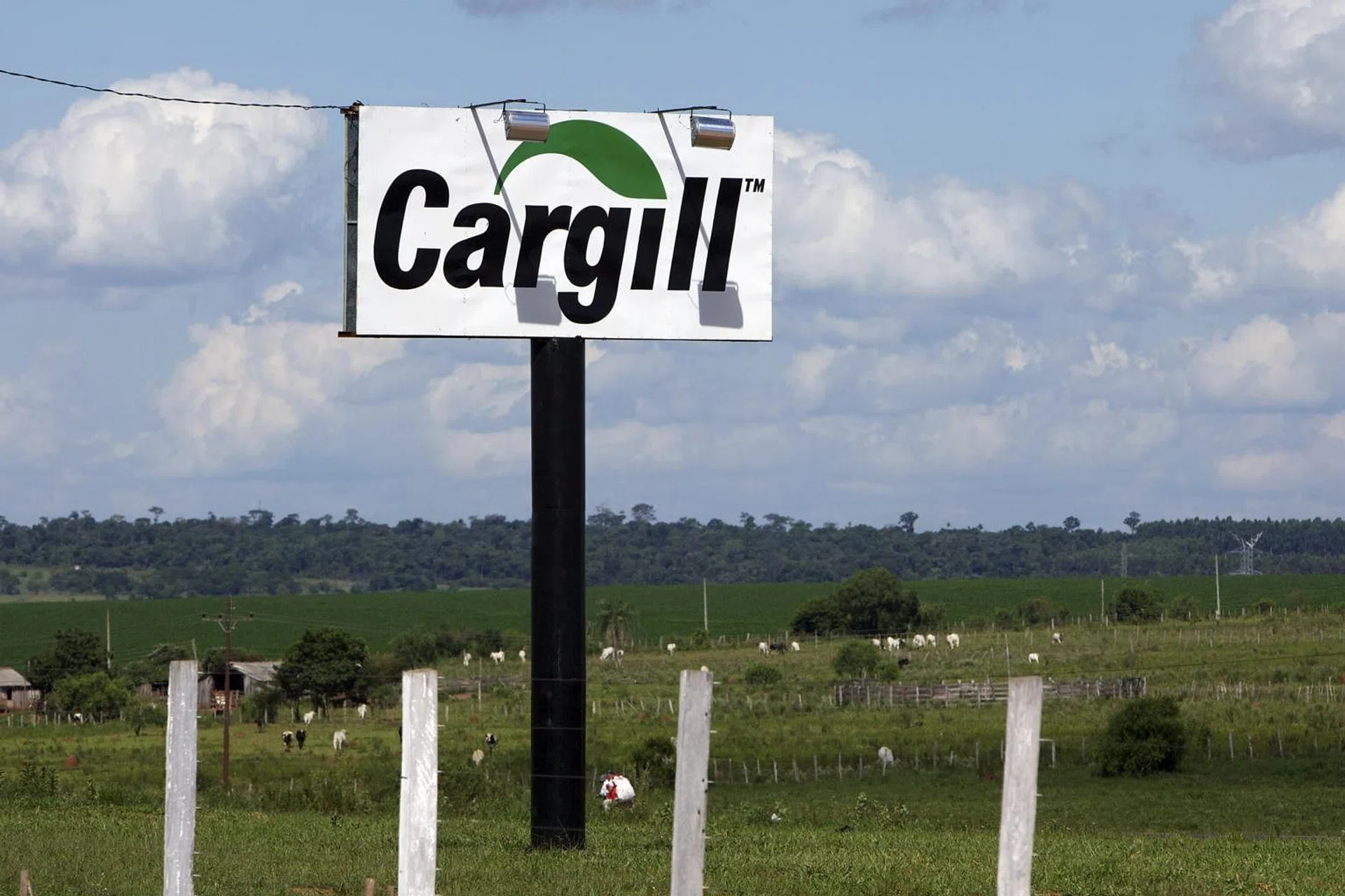 Cargill backs cow masks to trap methane burps - The Business Times