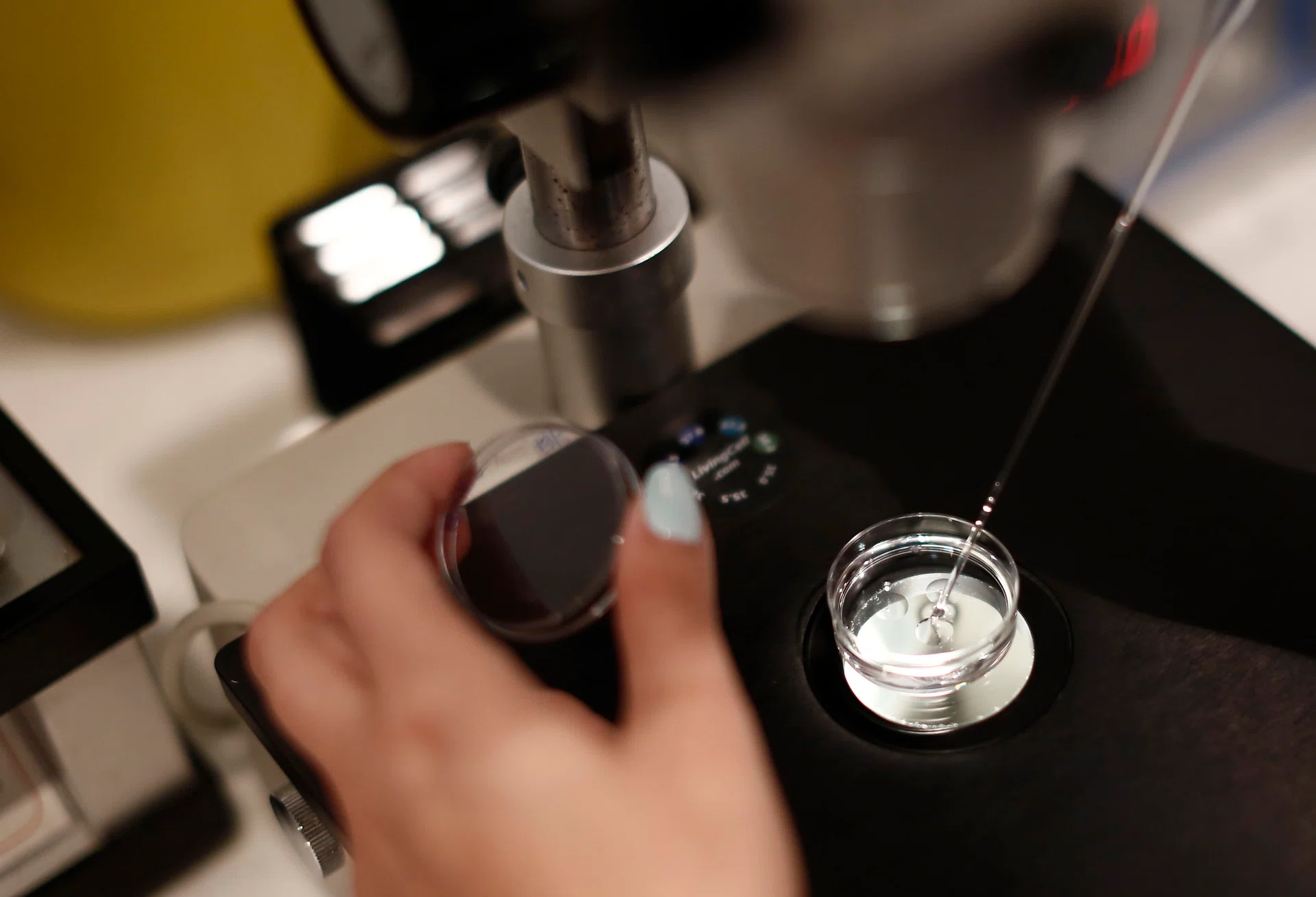 Robots and AI are aiming to make IVF cheaper - The Business Times