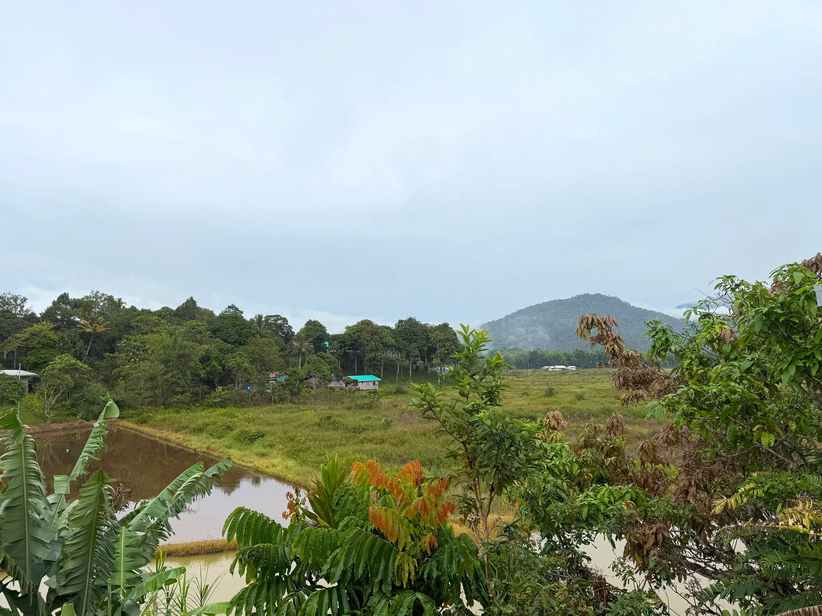 Malaysia’s largest state aims to be region’s ‘green battery’ - The Business Times