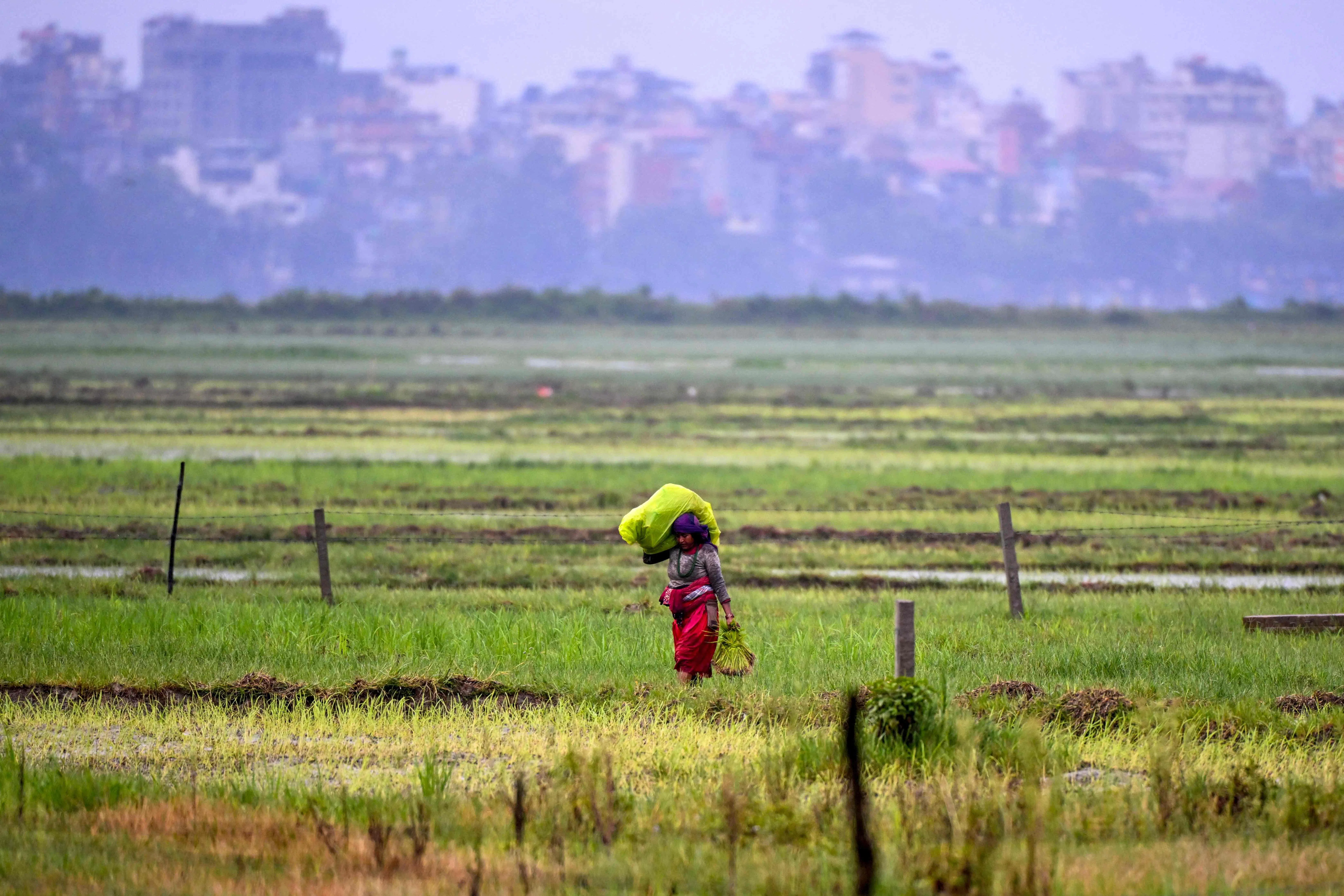 World’s biggest climate fund ramps up investment plans - The Business Times
