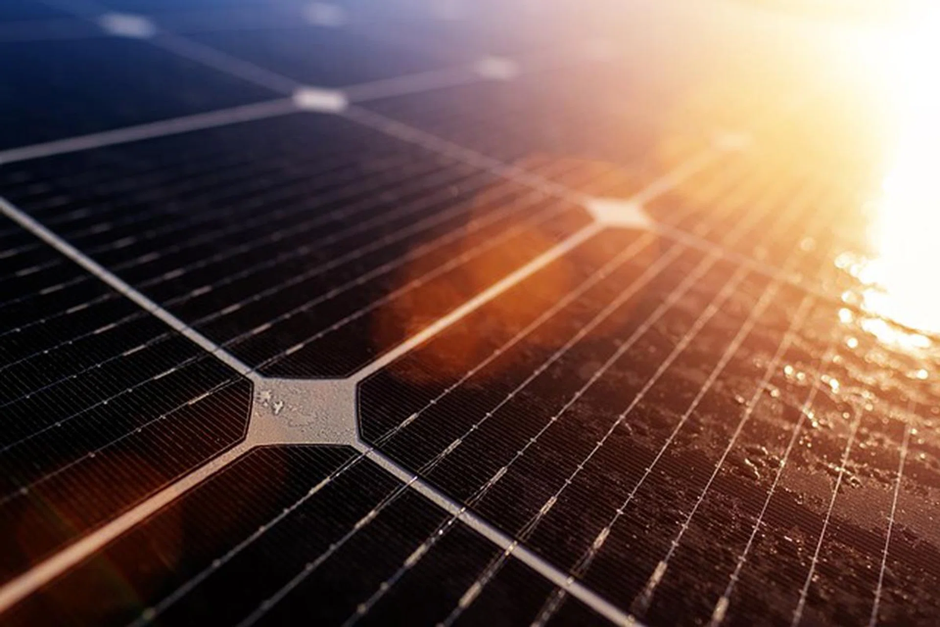 Former manufacturing giant SunPower files for bankruptcy - The Business ...