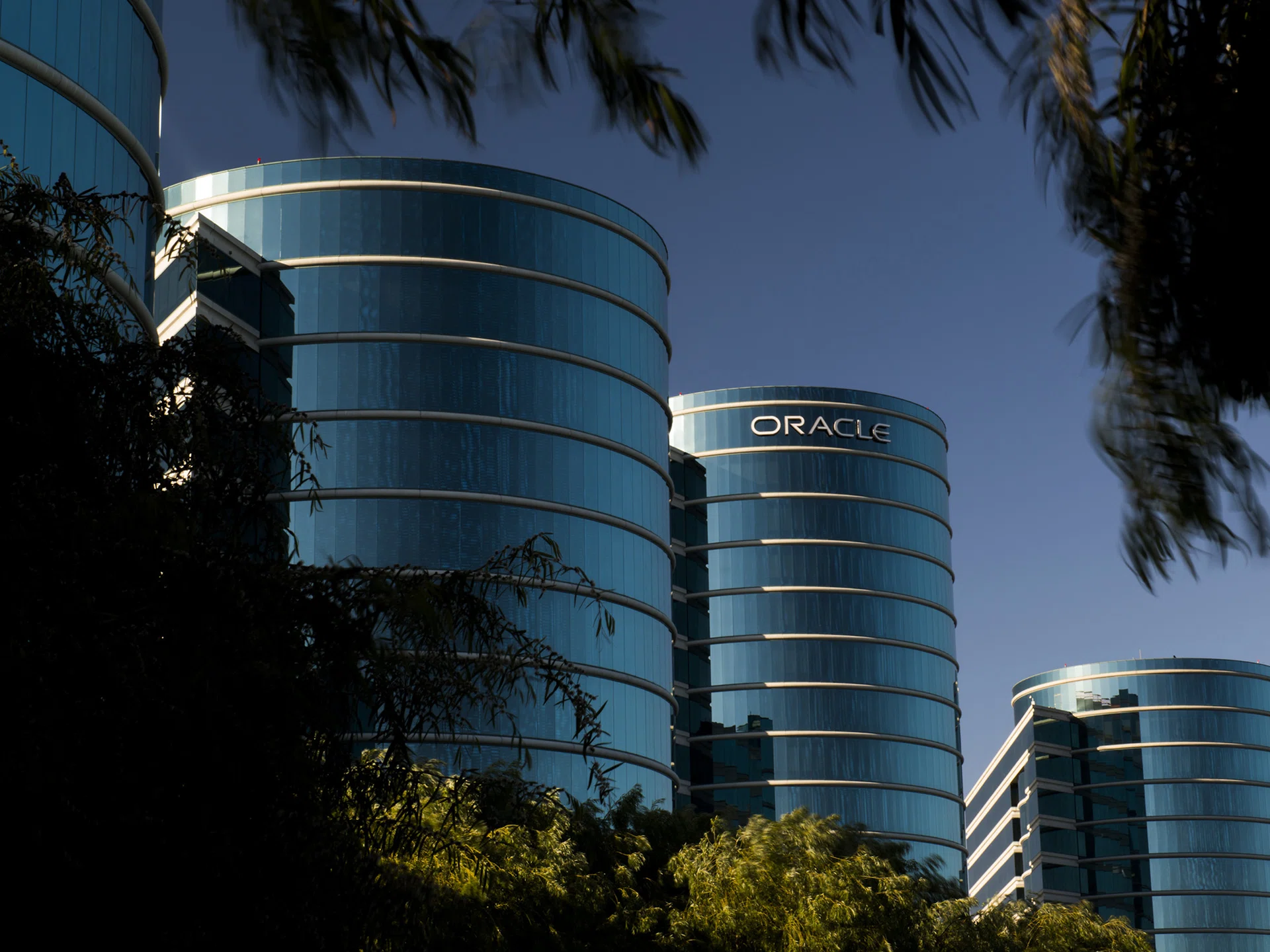 Oracle cuts Cerner jobs after CEO promised to 'clean up' health unit ...