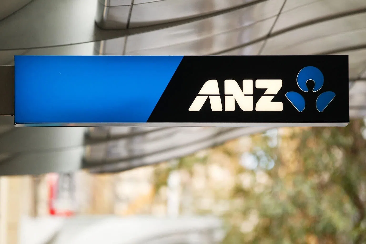 ANZ flags record capital levels as profit rises on housing boom - The ...