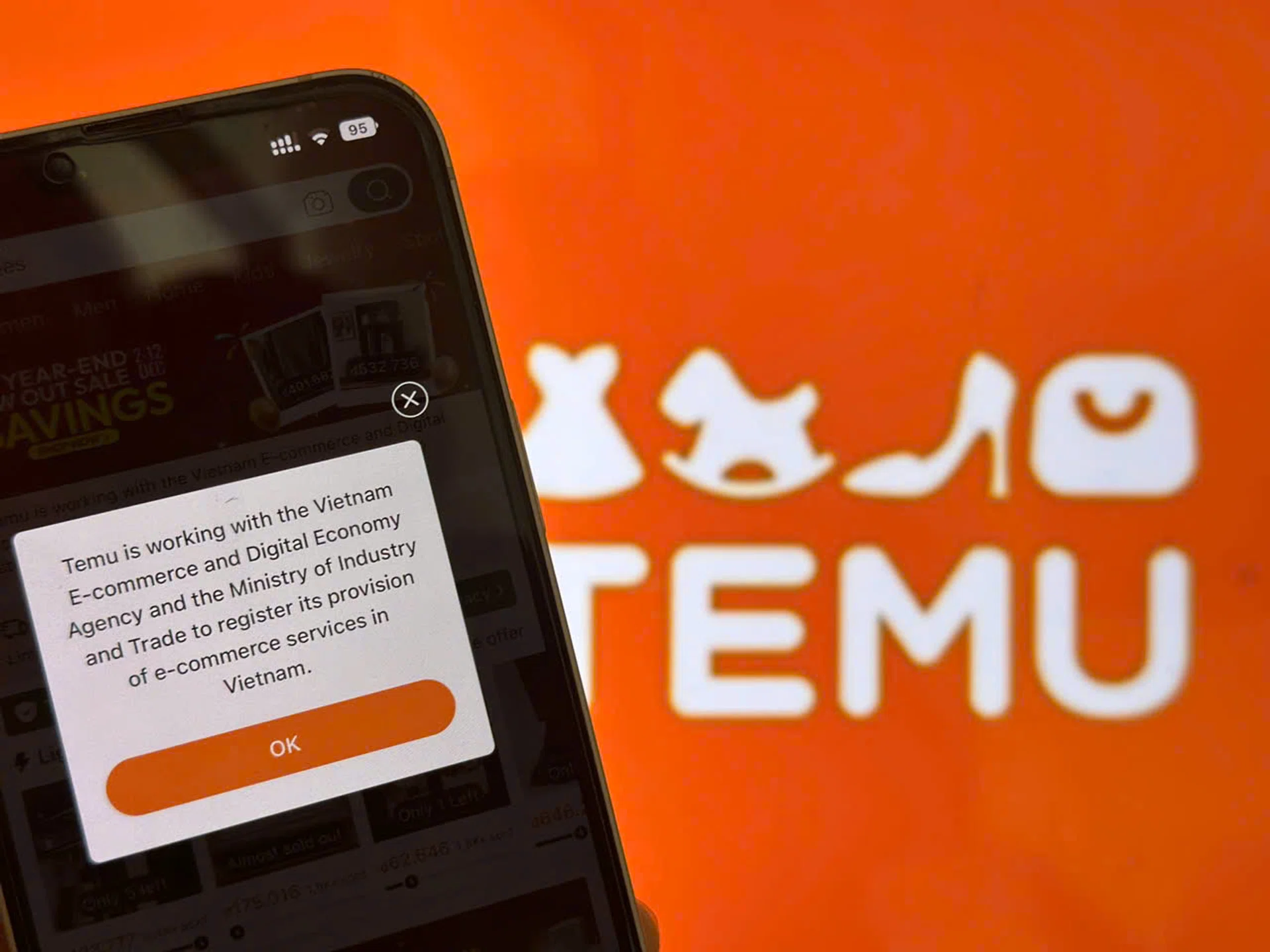 Legal pressures in Vietnam may push Temu to mull a pivot, compete ...