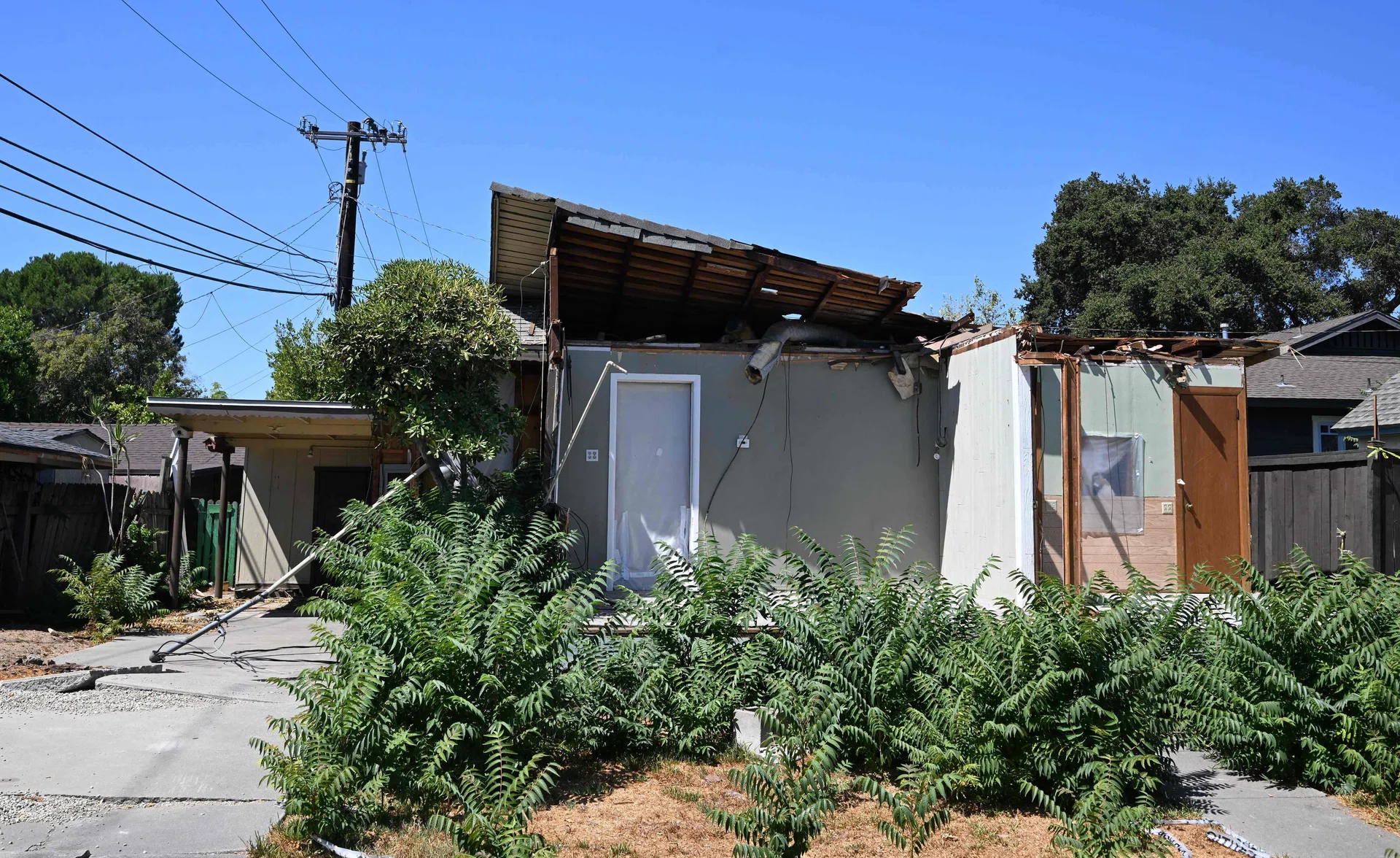 Open plan: Half a tree-crushed house for half a million dollars - The ...