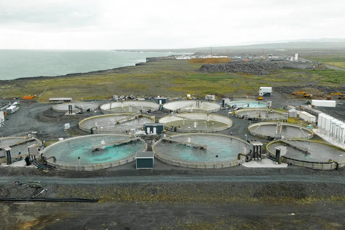 Iceland looks to inland salmon farming for a greener way to meet demand ...