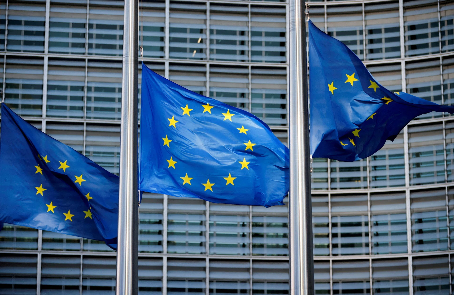 The case for a European public-goods fund - The Business Times