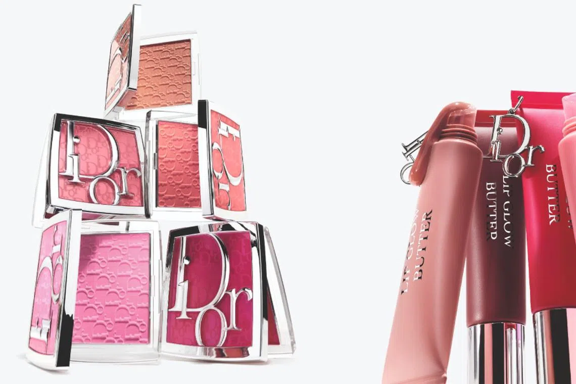 From Glowy to Igari: The Blush Placement Guide Gen Z Needs | FZINE ...
