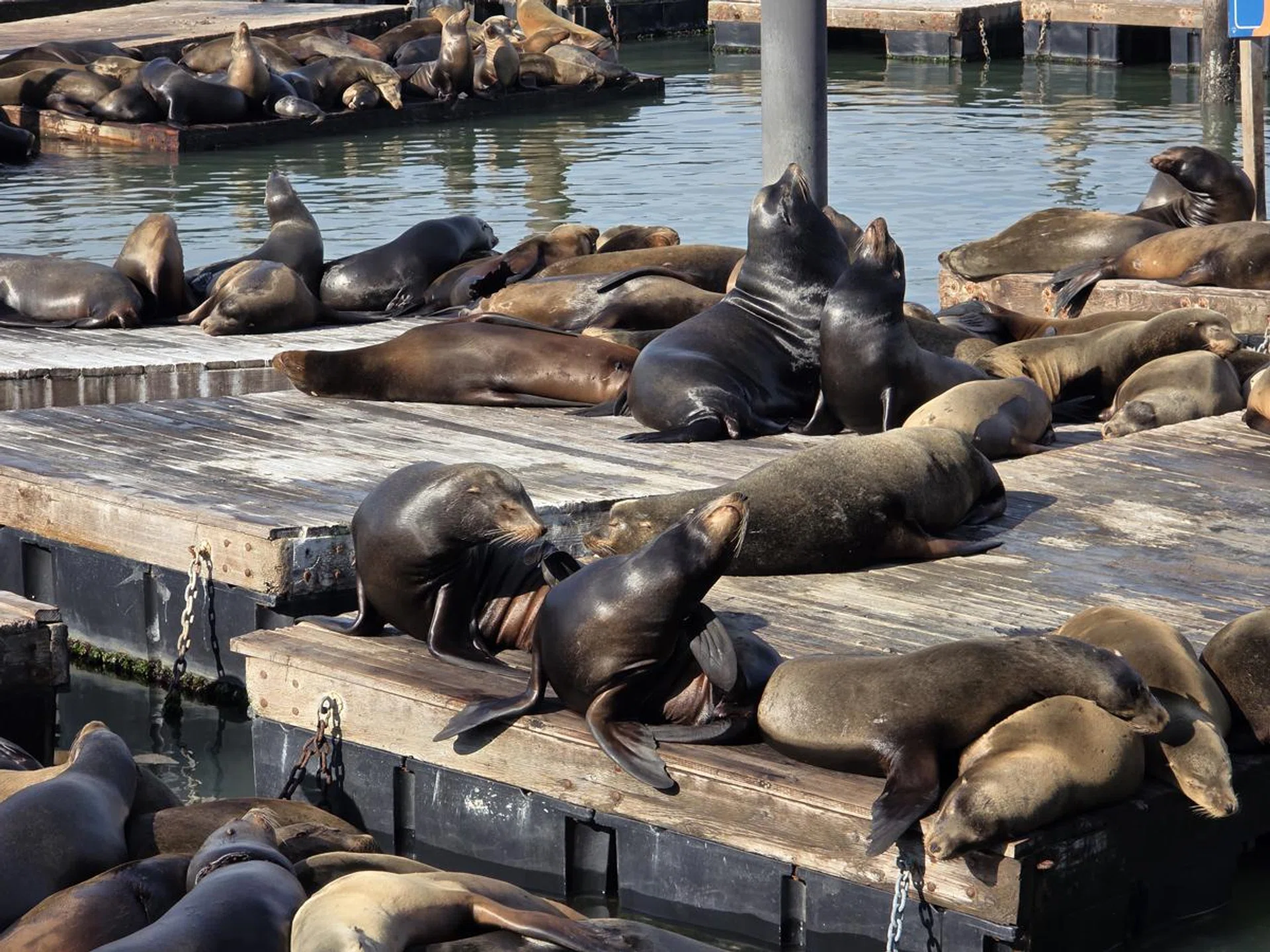 Samsung Galaxy S25 Ultra review: Going beyond what Ultra truly means ...