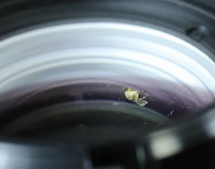 Weather sealed lens ≠ Fly sealed | HardwareZone Singapore